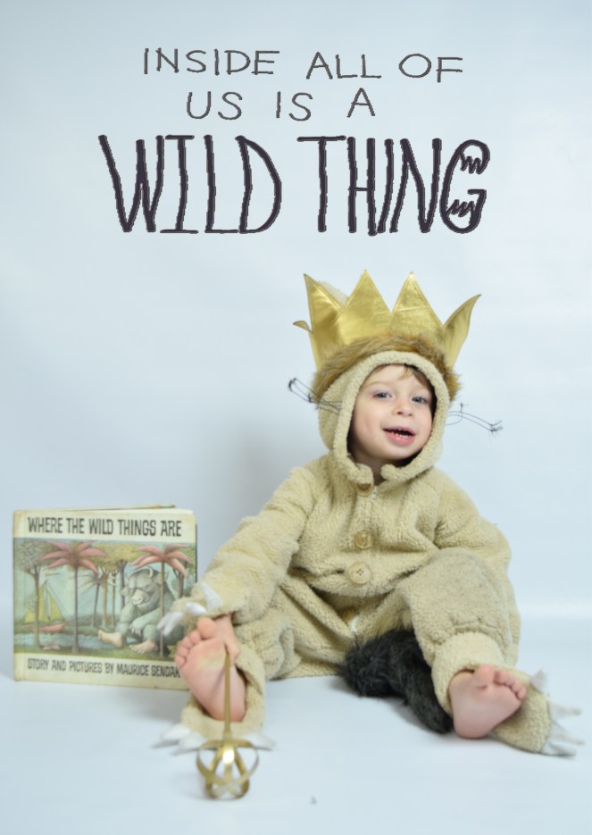 Where The Wild Things Are – A Beautiful Friendship